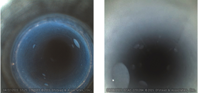 Dirty scopes persist despite cleaning protocol compliance - OR Manager
