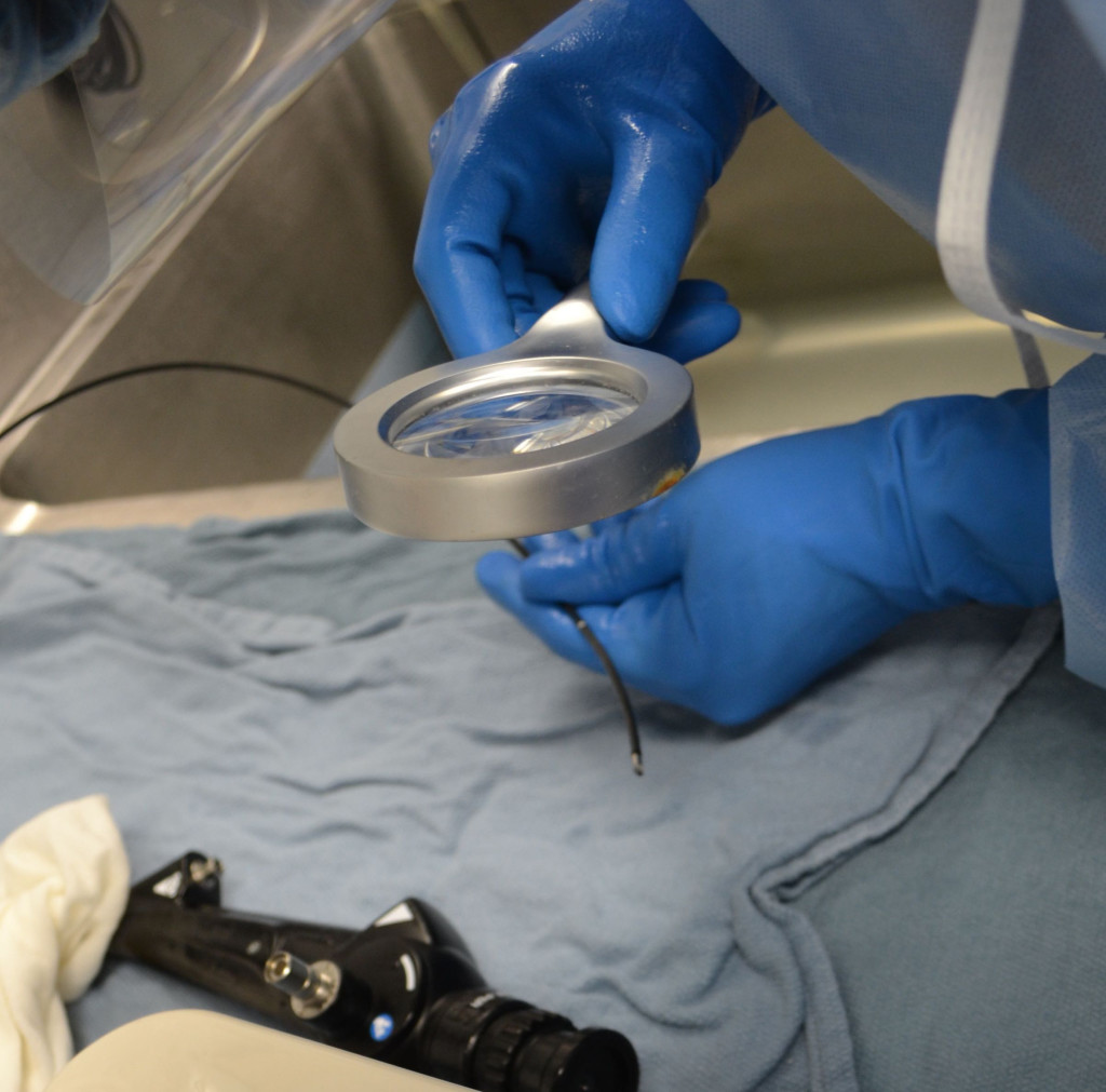 Cleaning verification tests boost confidence in instrument ...